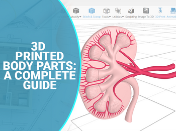 3D Printed Body Parts A Complete Guide