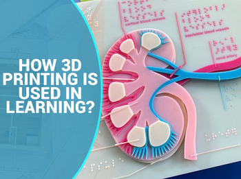 How Is 3D Printing Used in Learning? A Complete Guide