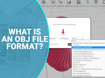What is an OBJ File Format