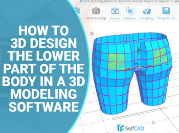 How to 3D Design the Lower Part of the Body in a 3D Modeling Software