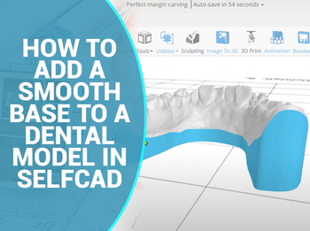 How to Add a Smooth Base to a Dental Model in SelfCAD