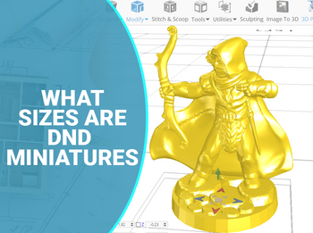 What Size are DND Miniatures?