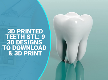 3D Printed Teeth STL-9 Best Designs to Download and 3D Print