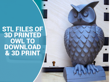 3D Printed Owl: 10 Coohool Models to 3D Print