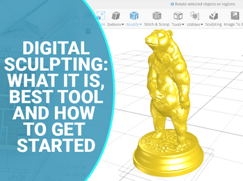 Digital Sculpting: What it is, Best Tool and How to Get Started