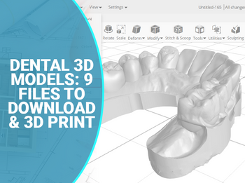 3D Printed Dental Models-9 Best Designs to download