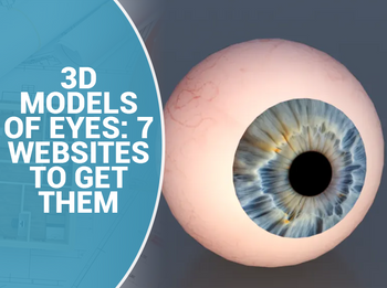 3D Models of Eyes: 7 Sites to Get Them