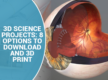 3D Science Models: 8 Best Options