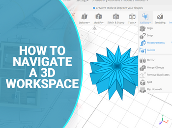 A Guide to Navigating a 3D Workspace