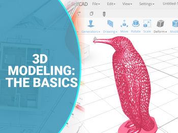 3D Modeling: The Basics