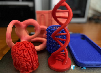 Boost Classroom Creativity with These 6 Unique 3D Models