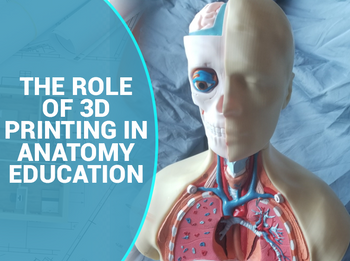 The Role of 3D Printing in Anatomy Education