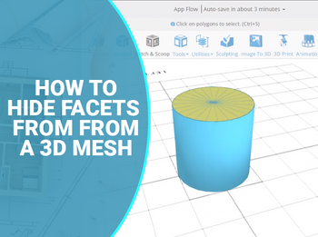 How to Hide Facets From a 3D Mesh