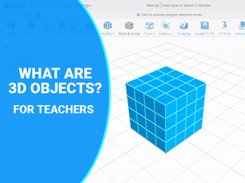 STEM Lesson - What are 3D Objects?