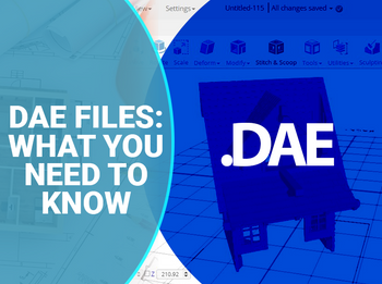 DAE Files: What You Need to Know