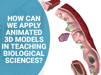 Using Animated 3D Models in Biomedical Science Education